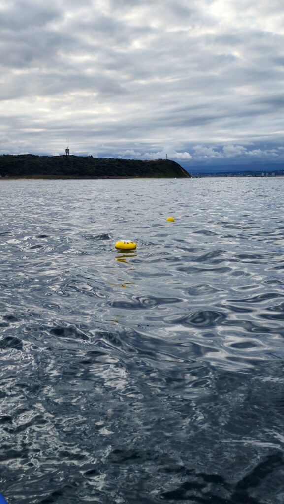 Obscape Wave Buoy - BlueZone Group