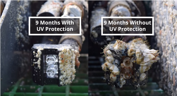 AML Oceanographic UV Biofouling Control - BlueZone Group