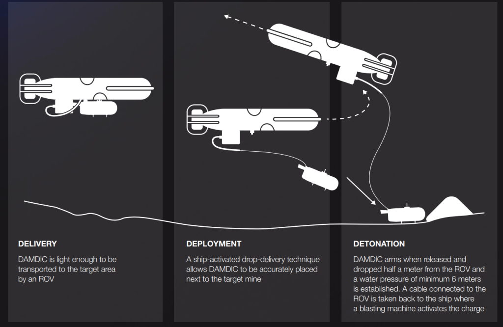 The Critical Role of DAMDIC & Double Eagle ROVs - BlueZone Group